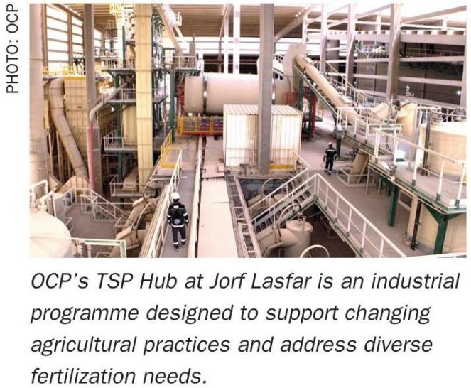 OCP Nutricrops surpasses 5 million tonnes of TSP - BC Insight