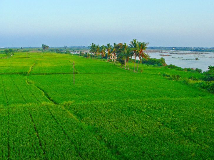Policy impacts on nitrogen markets - BC Insight